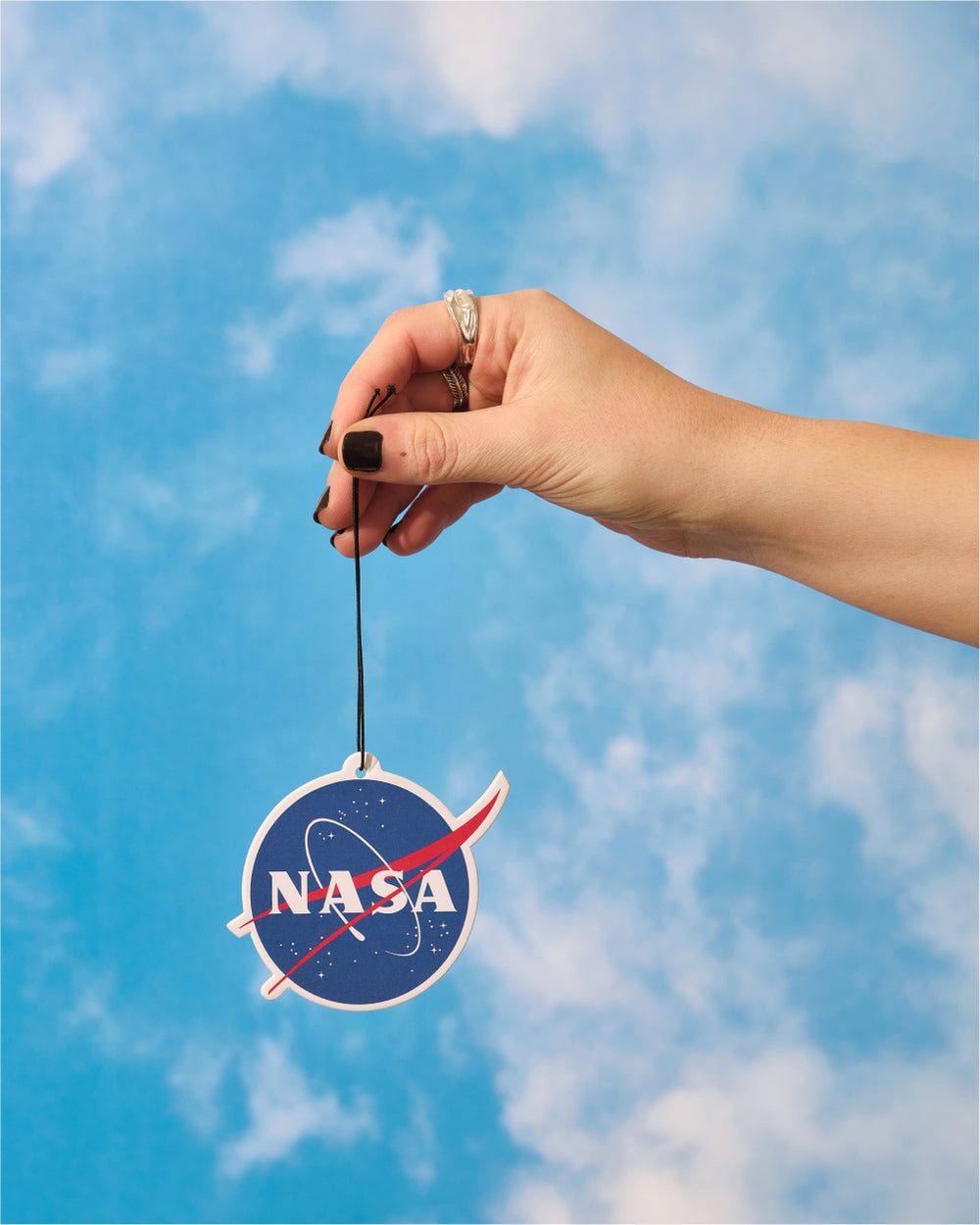 NASA Meatball Air Freshener | Official NASA Merch