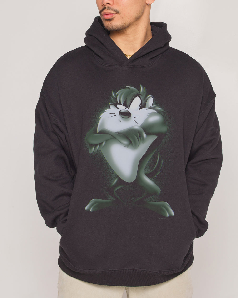 Taz Vintage Hoodie | Official Looney Tunes Merchandise Threadheads