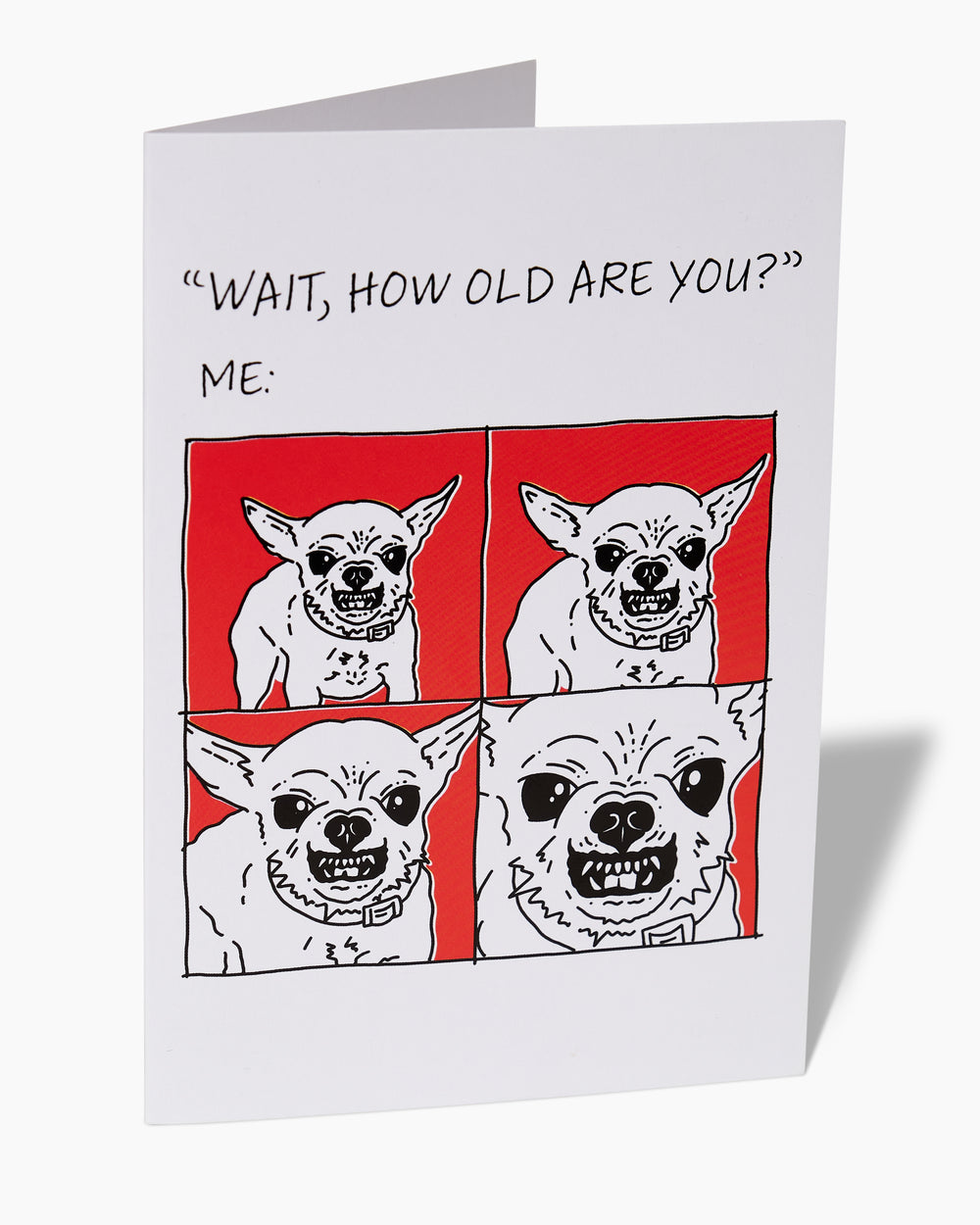 Animal Birthday Greeting Card Bundle | Funny Happy Birthday Cards UK
