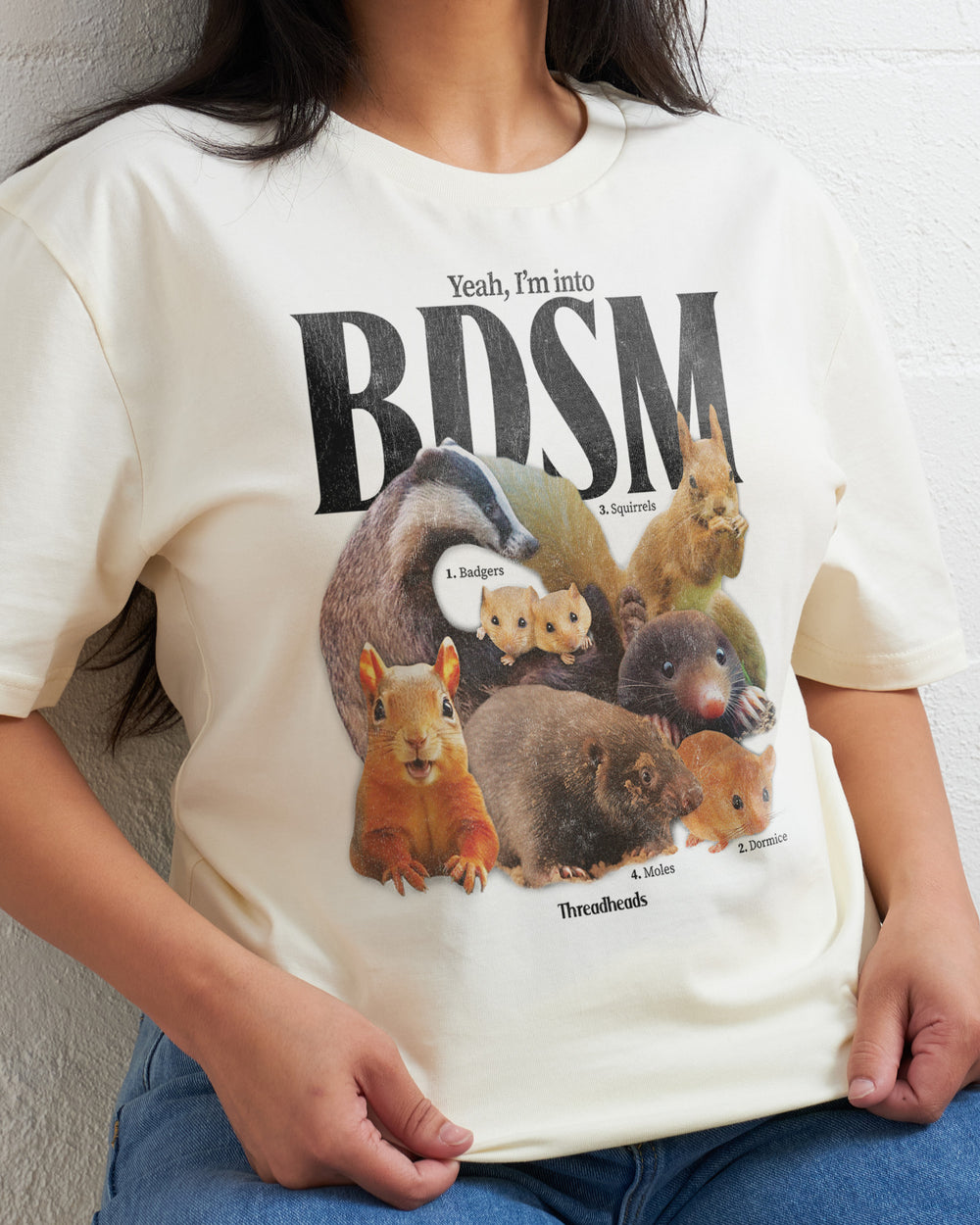 Bdsm T Shirt Funny T Shirt