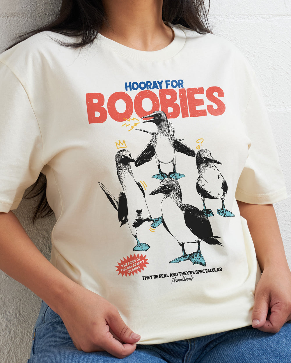 Hooray for Boobies T-Shirt | Funny Graphic T-Shirt