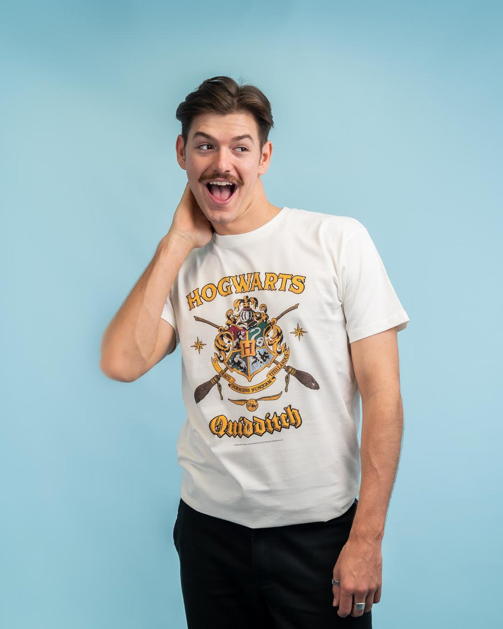 Hogwarts Quidditch Shield T-Shirt | Official Harry Potter Merch ...